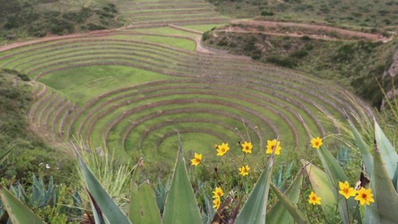 Explore Peru’s Salt Mines of Maras and Moray Inca Terraces